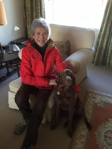 Archie the Labrador | Dog Whisperer Sally Barnes